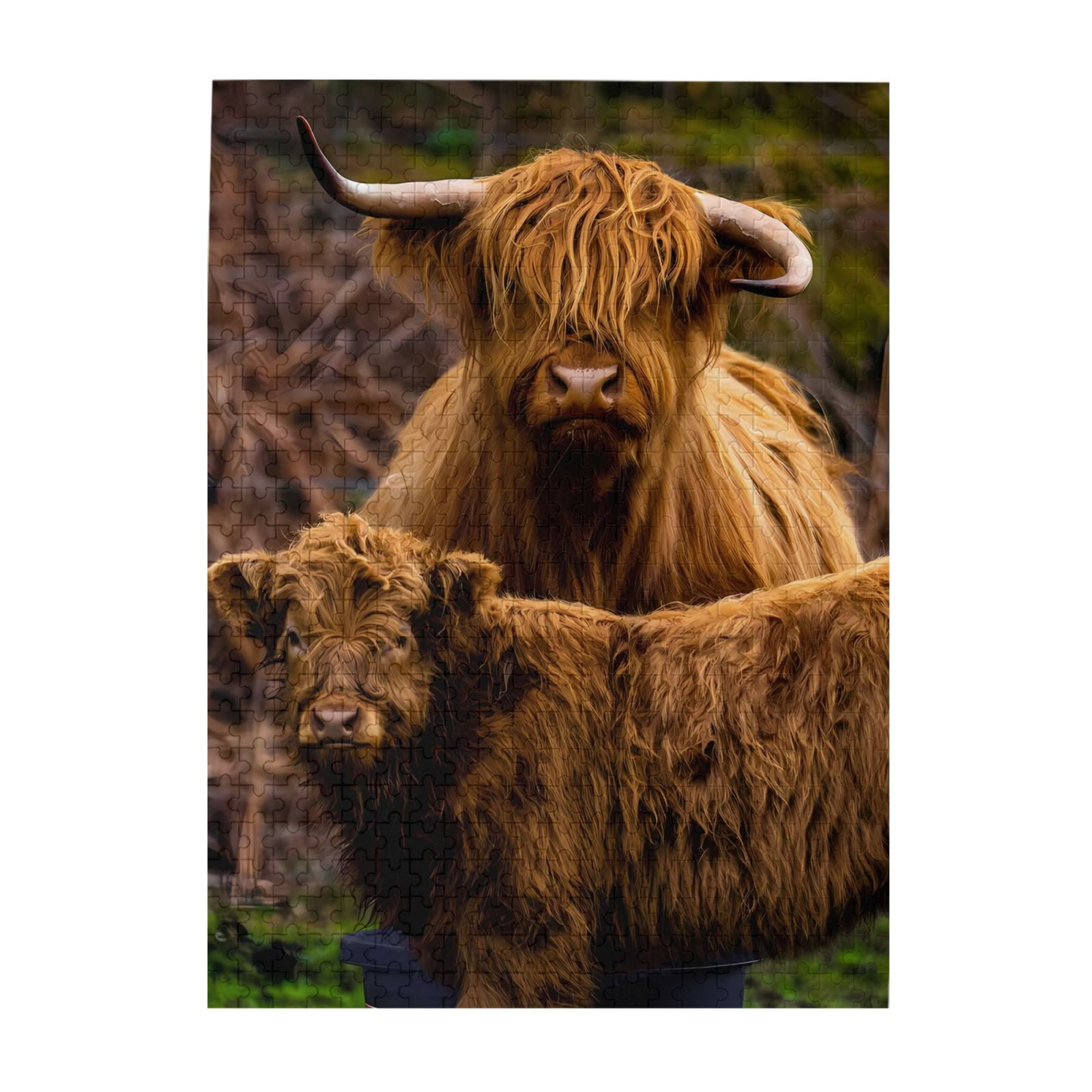 500-Piece Wooden Jigsaw Puzzle for Adults - Highland Cattle Mother Calf ...
