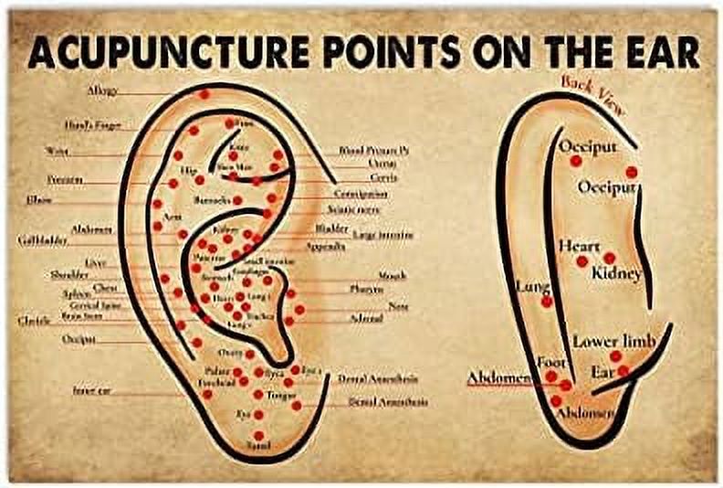 500 Piece Wooden Puzzle for Adults Acupuncture Points On The Ear Jigsaw ...