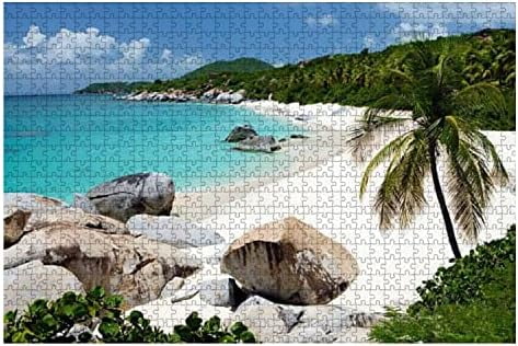 500 Pieces Beach with boulders and Palm Trees in Virgin Gorda BVI Large ...