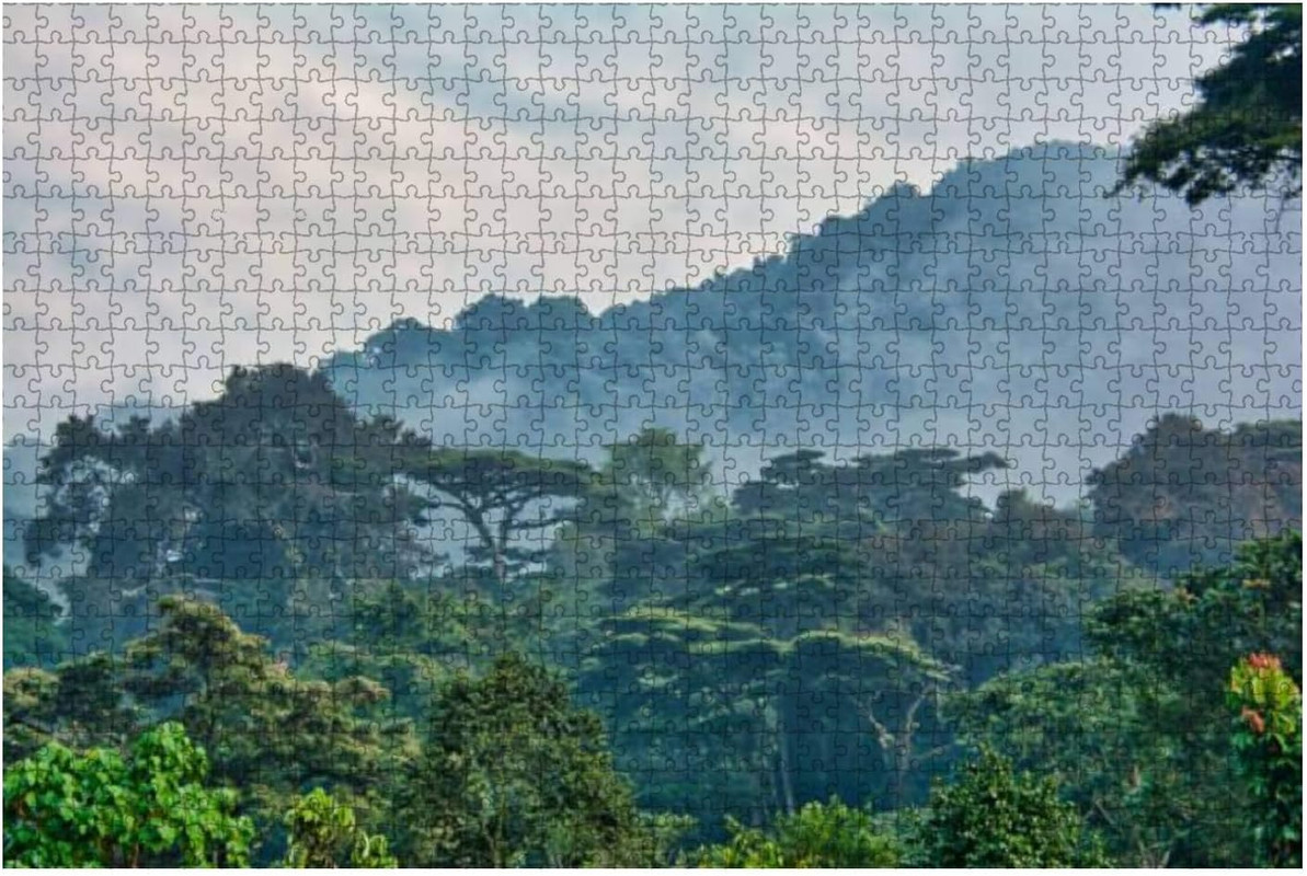 500 Pieces Jigsaw Puzzle Game - Rainforest Canopy With Morning Mist In ...