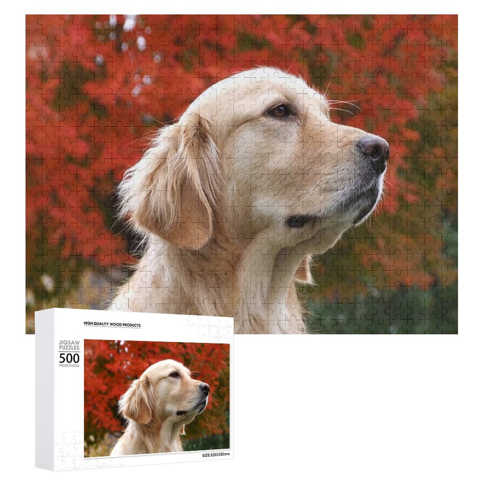 500 Pieces Jigsaw Puzzles For Adults,Golden Retriever Portrait - Jigsaw ...
