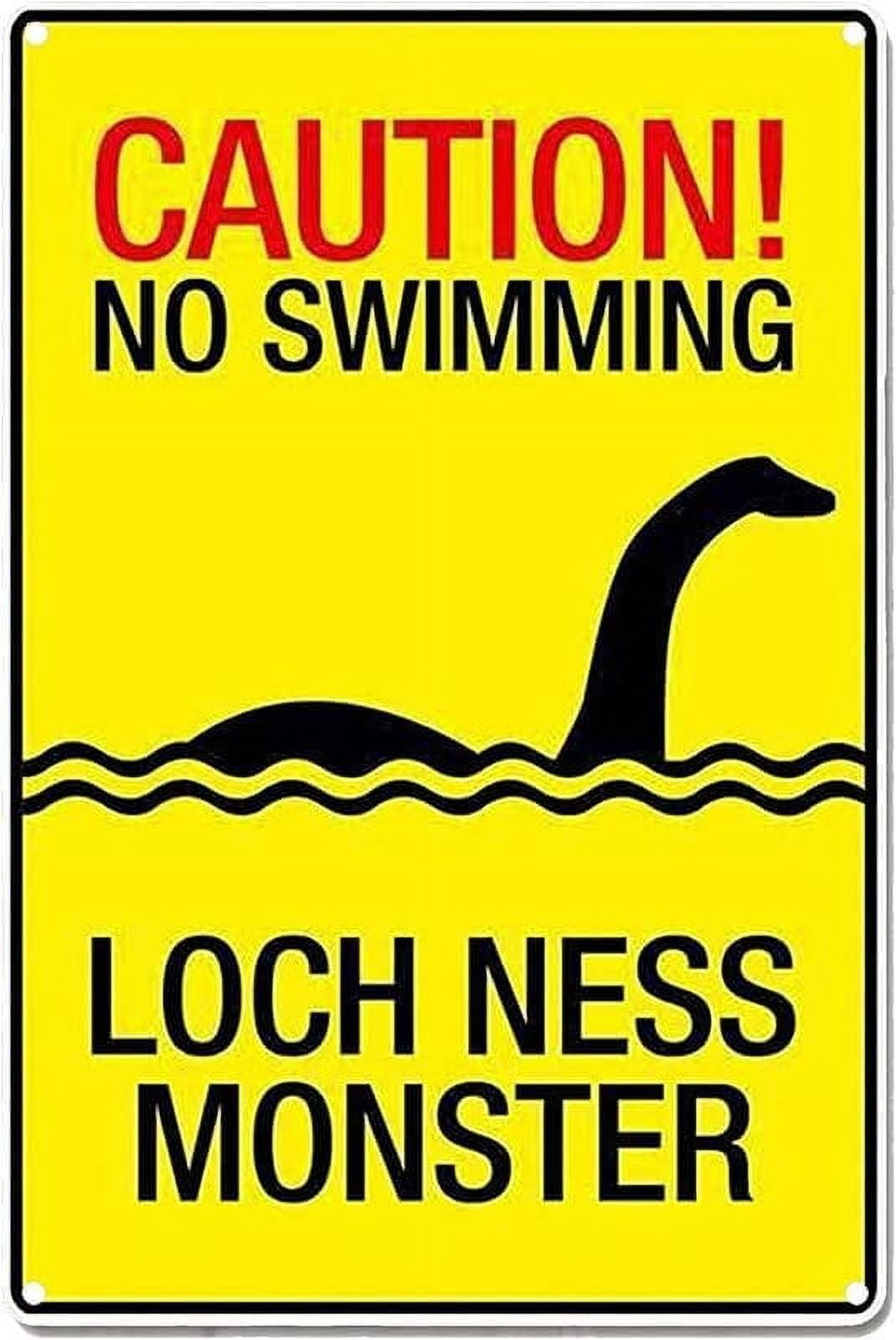 500 Pieces Jigsaw Puzzles No Swimming Loch Ness Monster 15 * 20 Inch ...