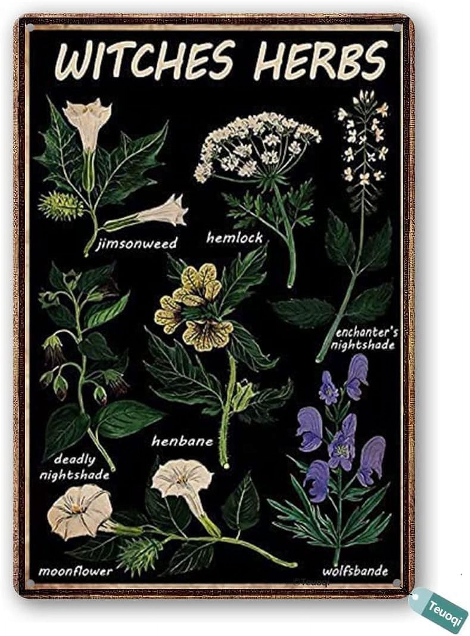 500 Pieces Jigsaw Puzzles Vintage Witches Herbs,Witch Witchcraft, Witch ...