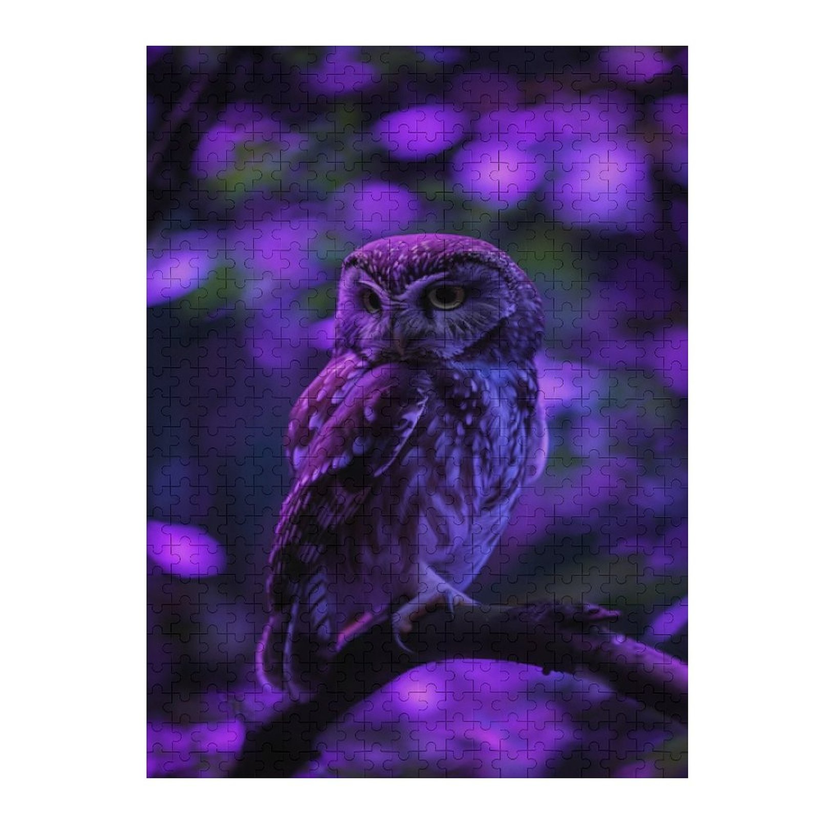 500 Pieces Puzzles For Adult Jigsaw Puzzle Owl Bird At Night Puzzle ...