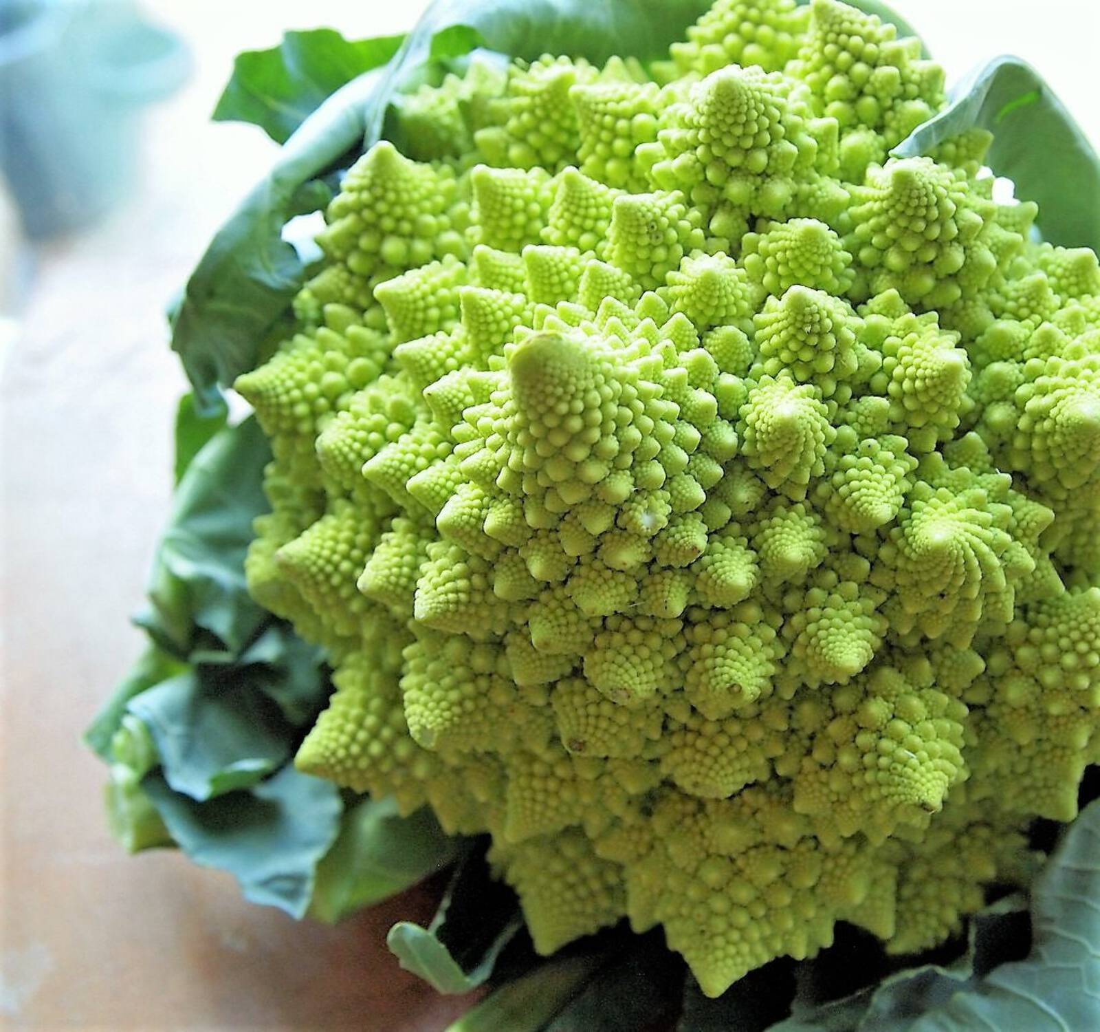 500 ROMANESCO BROCCOLI Broccoflower Roman Cauliflower Pyramid Broccolo ...