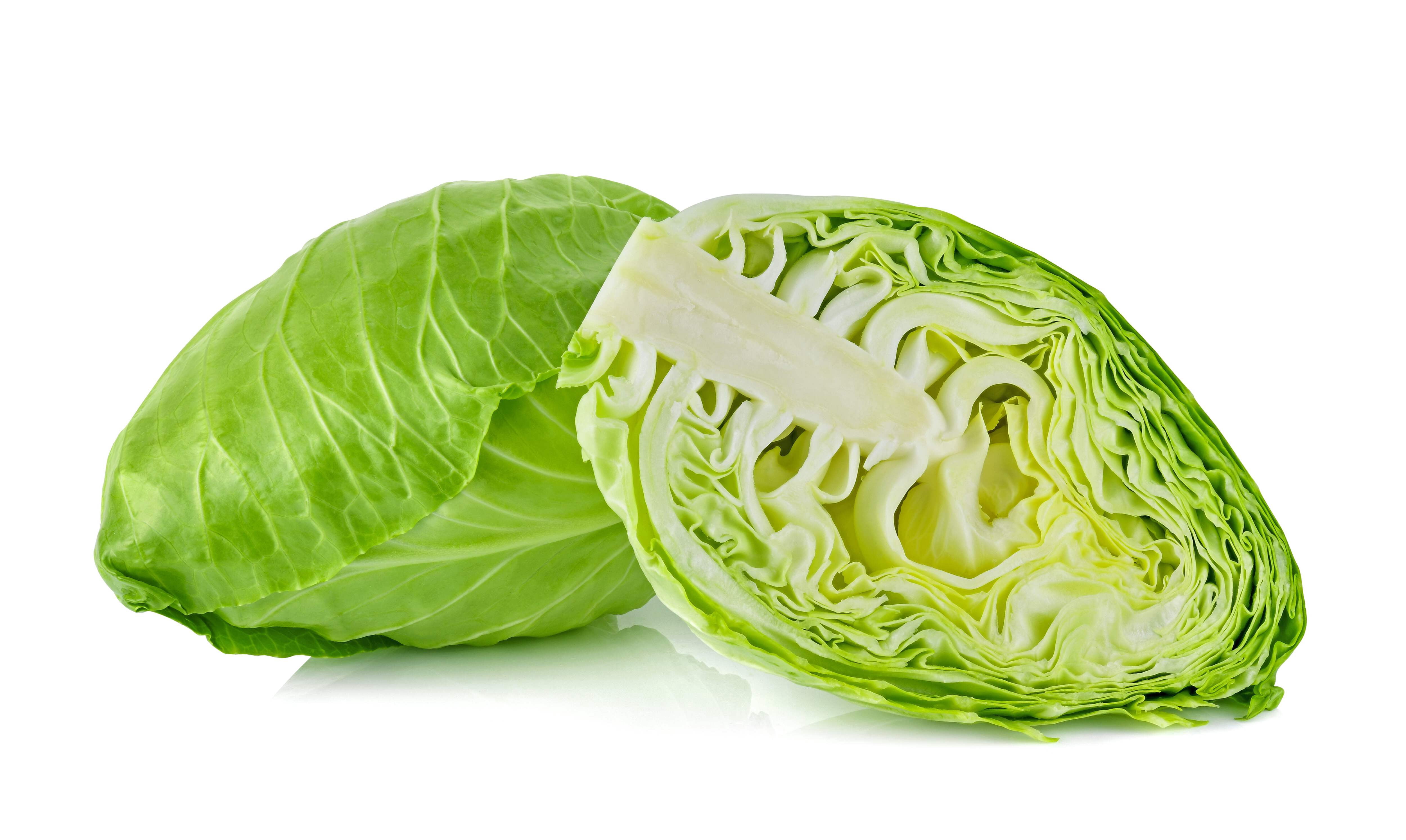 500 Seeds Early JERSEY WAKEFIELD CABBAGE Brassica Oleracea Capitata ...