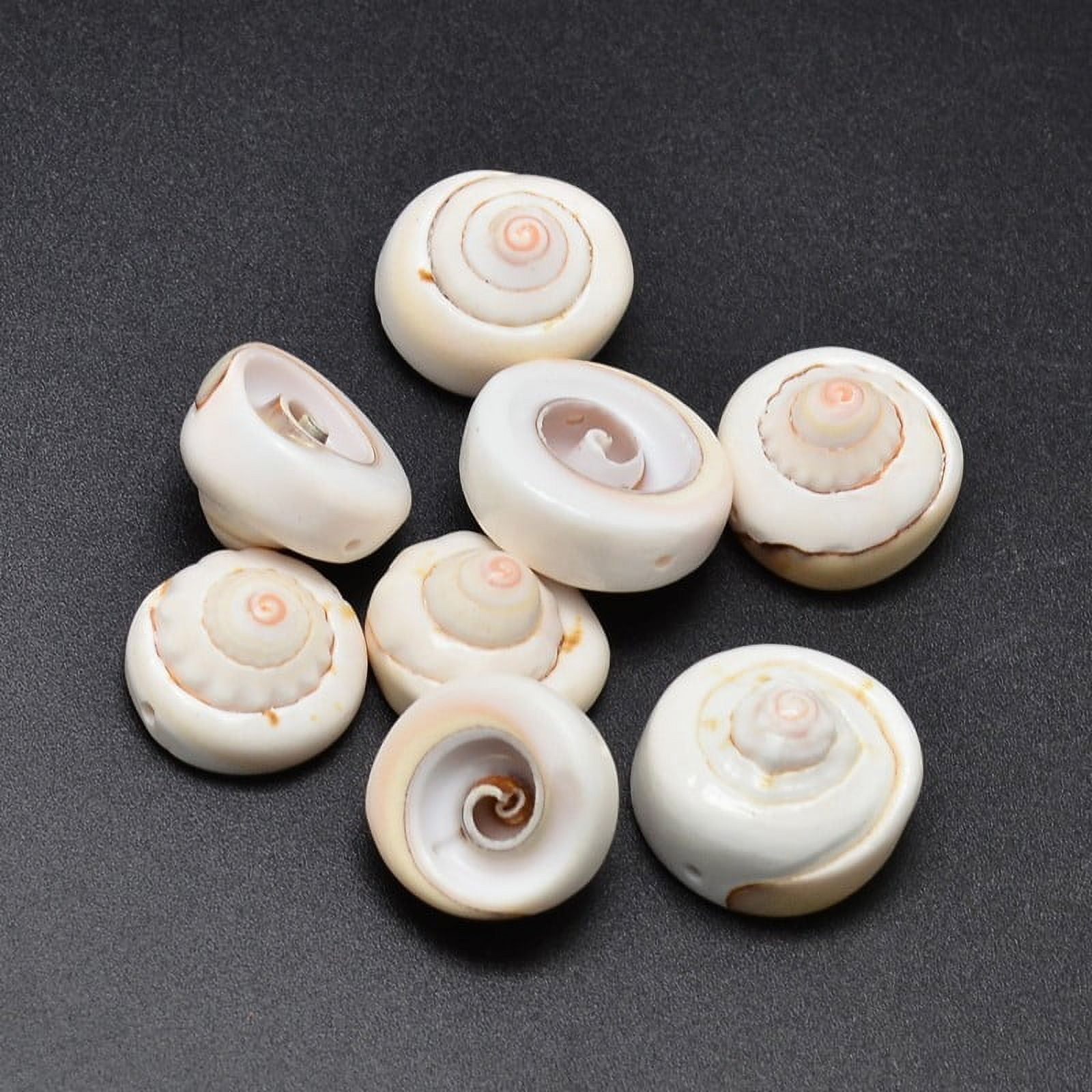 500 g Natural Shiva Eye Shell Beads PapayaWhip 17~20x6~13mm Hole: 1mm ...