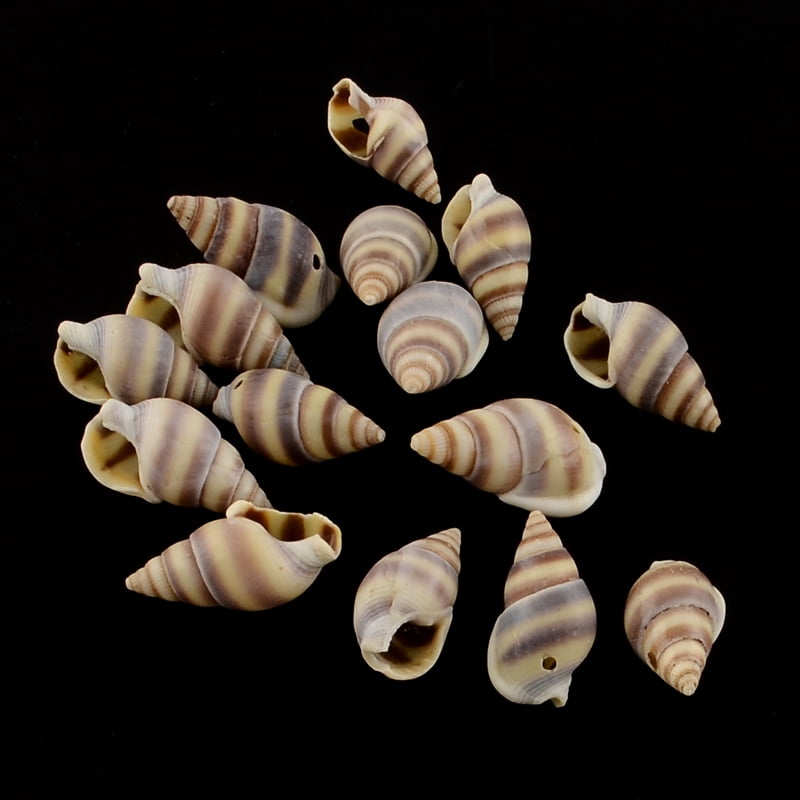 500 g Spiral Shell Charm Pendants Sienna 15~20x8~11x7~9mm Hole: 1mm 1270pcs/500g - Walmart.com