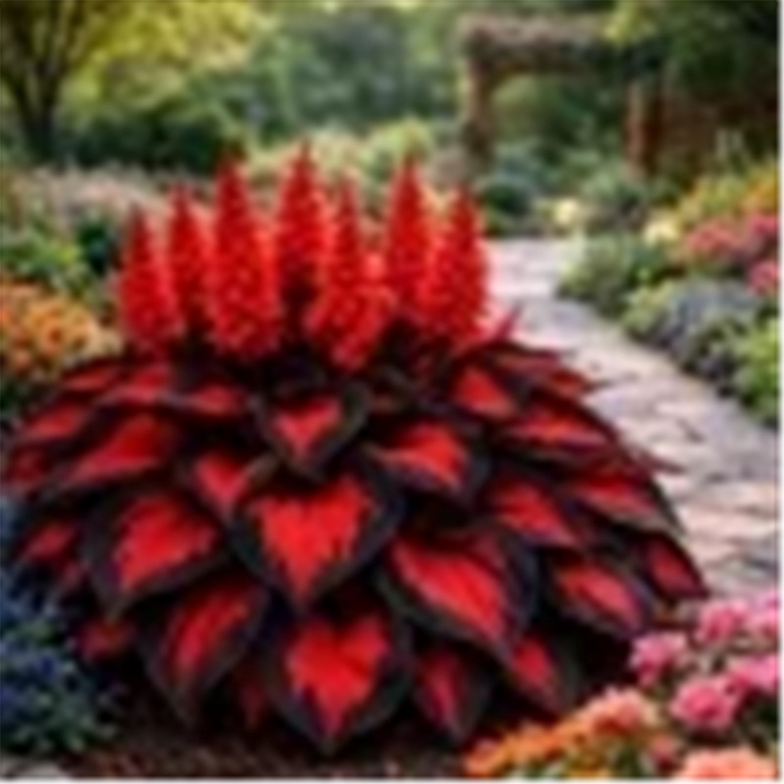 500 pcs Rainbow Colorful Midnight Blue Hostas For Planting Cultivation ...