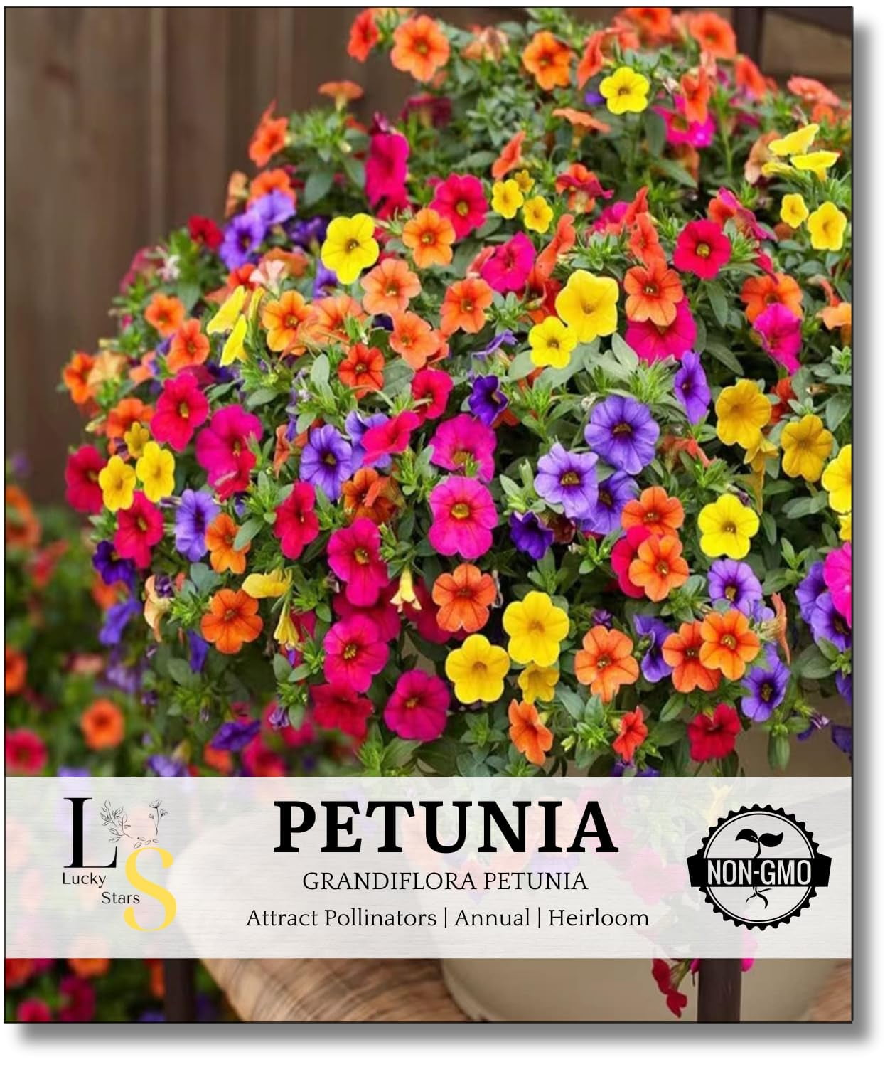 5000+ Petunia Seeds - Mixed Rainbow MVR1 Color, Bonsai, Grandiflora ...