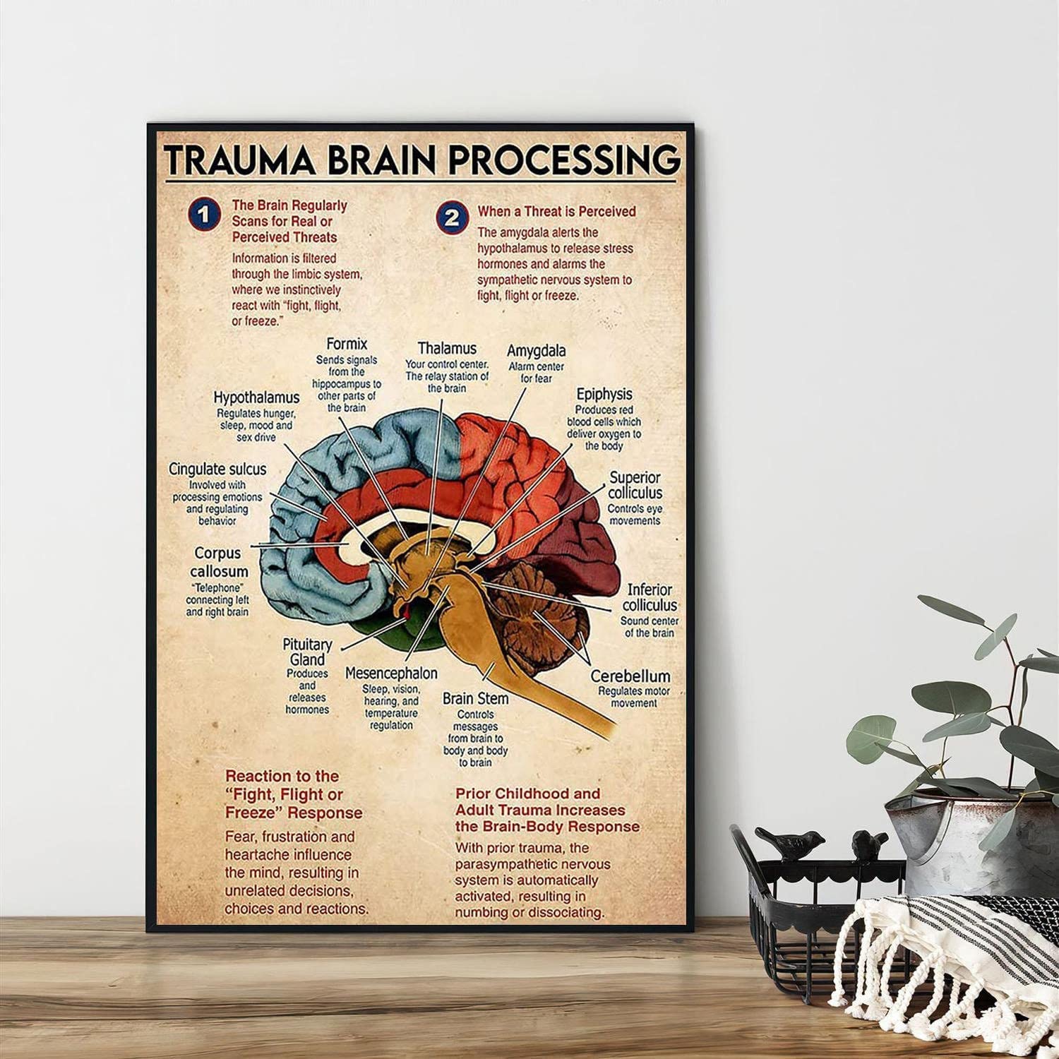 500PCS Jigsaw Puzzles Vintage Trauma Brain Processing Poster, Mental ...