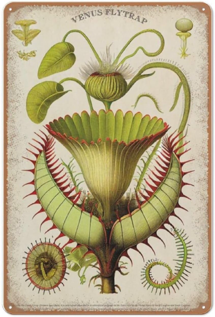 500PCS Jigsaw Puzzles Vintage Venus Flytrap Print, Plant Poster ...
