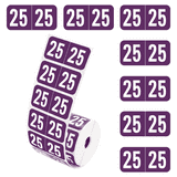 500Pcs 2025 Year Stickers, Self Adhesive File Folder Year Labels, Color ...