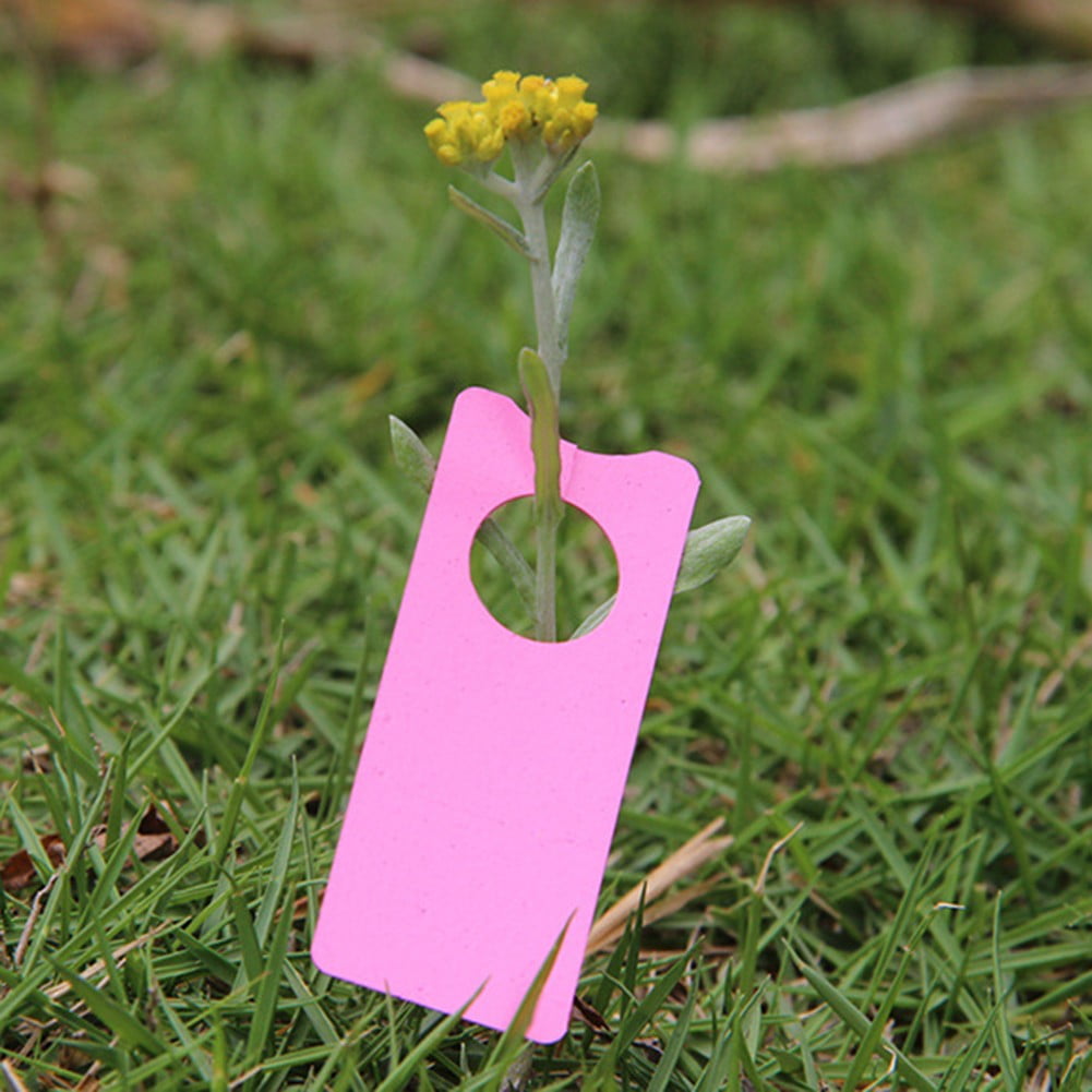 500Pcs 6 Colors Plants Tags Garden Labels Mark Grape Sign Board For ...