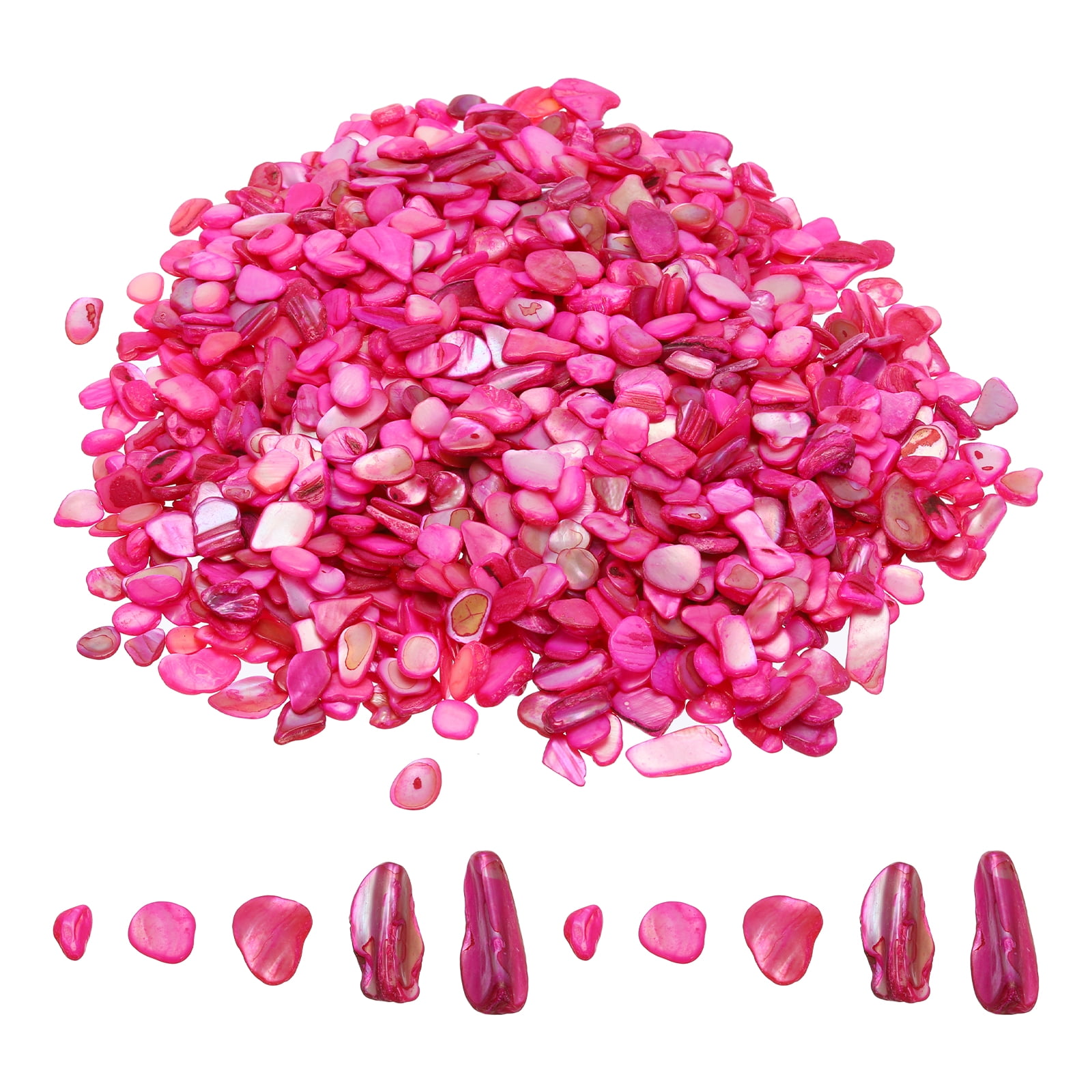 500g Crushed Shells Irregular Natural Mosaic Sea Shell Fragments for ...