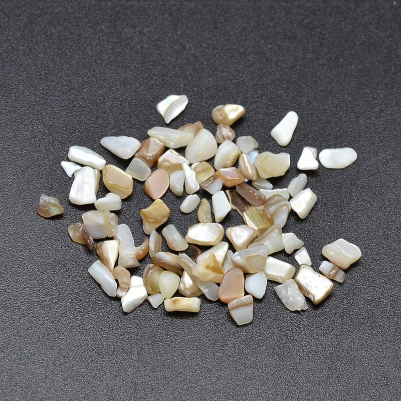 500gs Dyed Freshwater Shell Chips Beads Shell Shards No Hole Pale ...