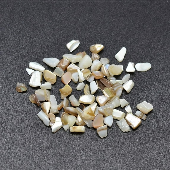 500gs Dyed Natural Freshwater Shell Chips Beads Shell Shards No Hole ...