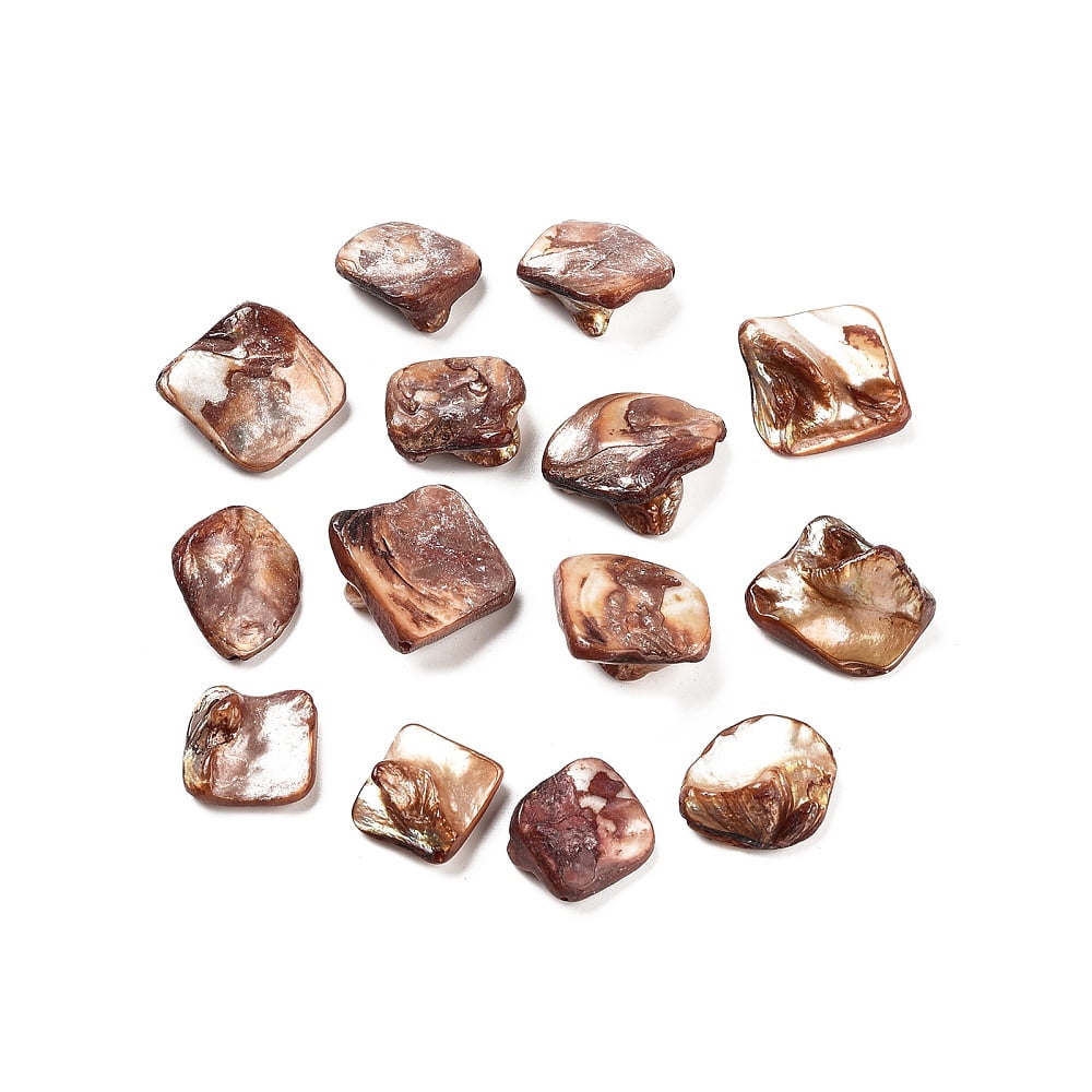 500gs Freshwater Shell Beads Dyed Coconut Brown Size: about 10~20mm ...