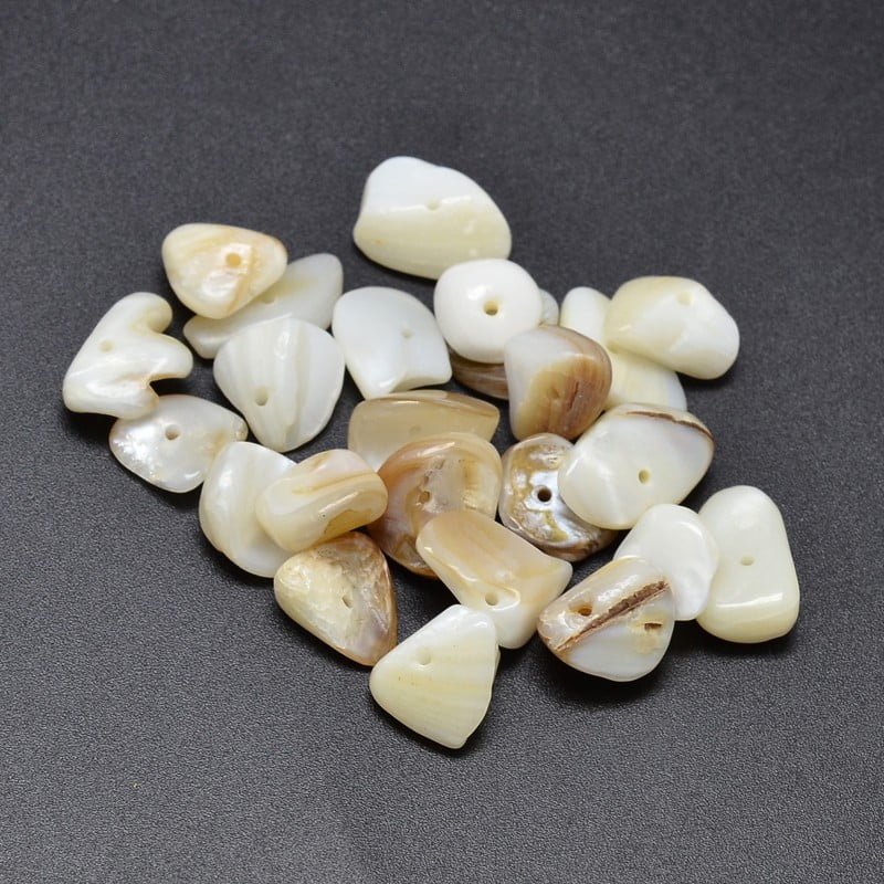 500gs Freshwater Shell Nuggets Chips Beads PapayaWhip 6~20x9~10mm Hole ...