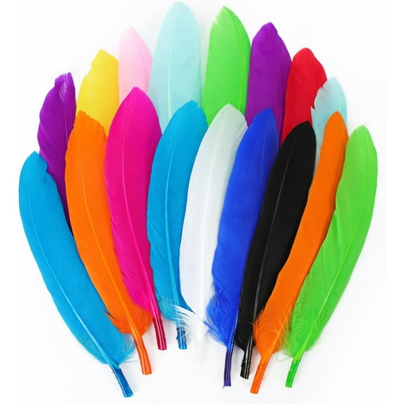500pcs Mini Feathers Value Pack Ideal for Kids' Arts and Crafts ...