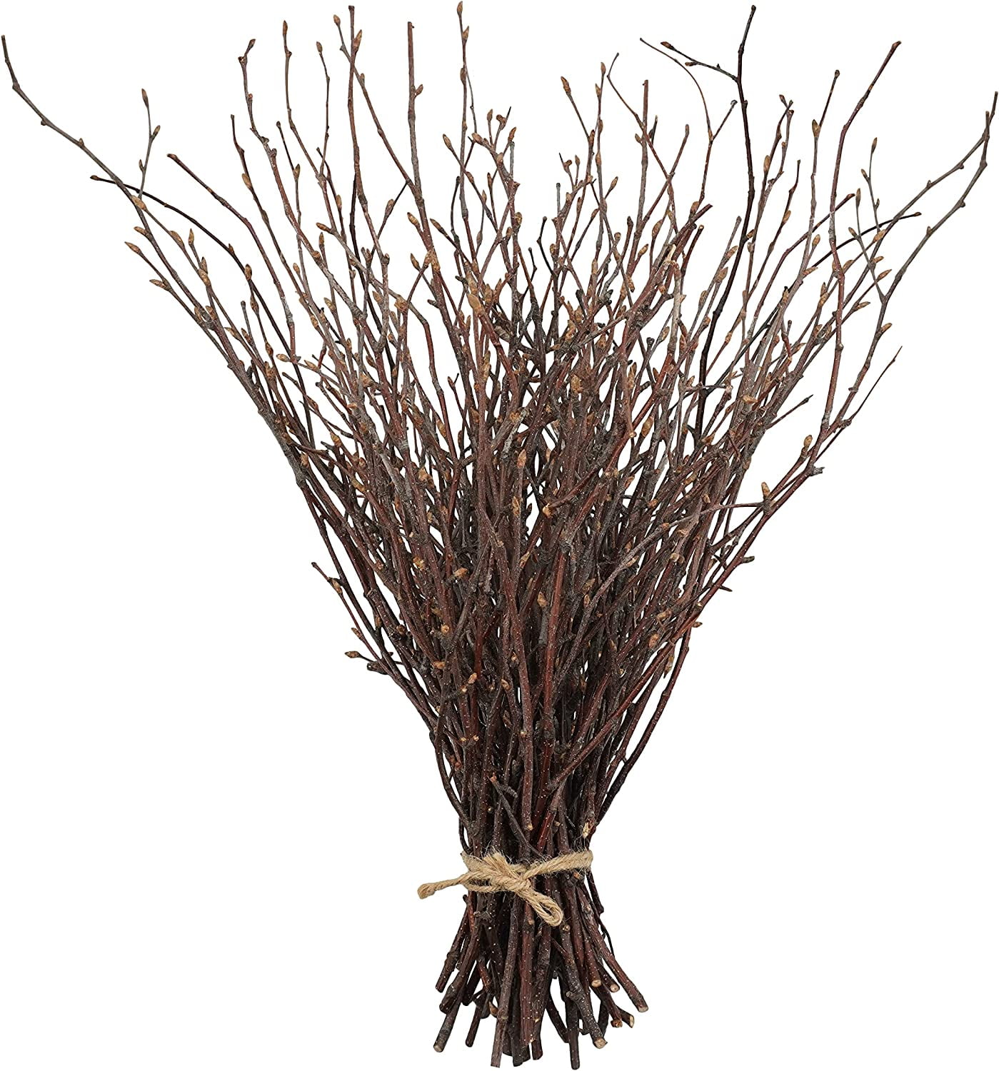 50PCS Birch Twigs – 17 Inch Natural Dried Plants Decorative Birch ...