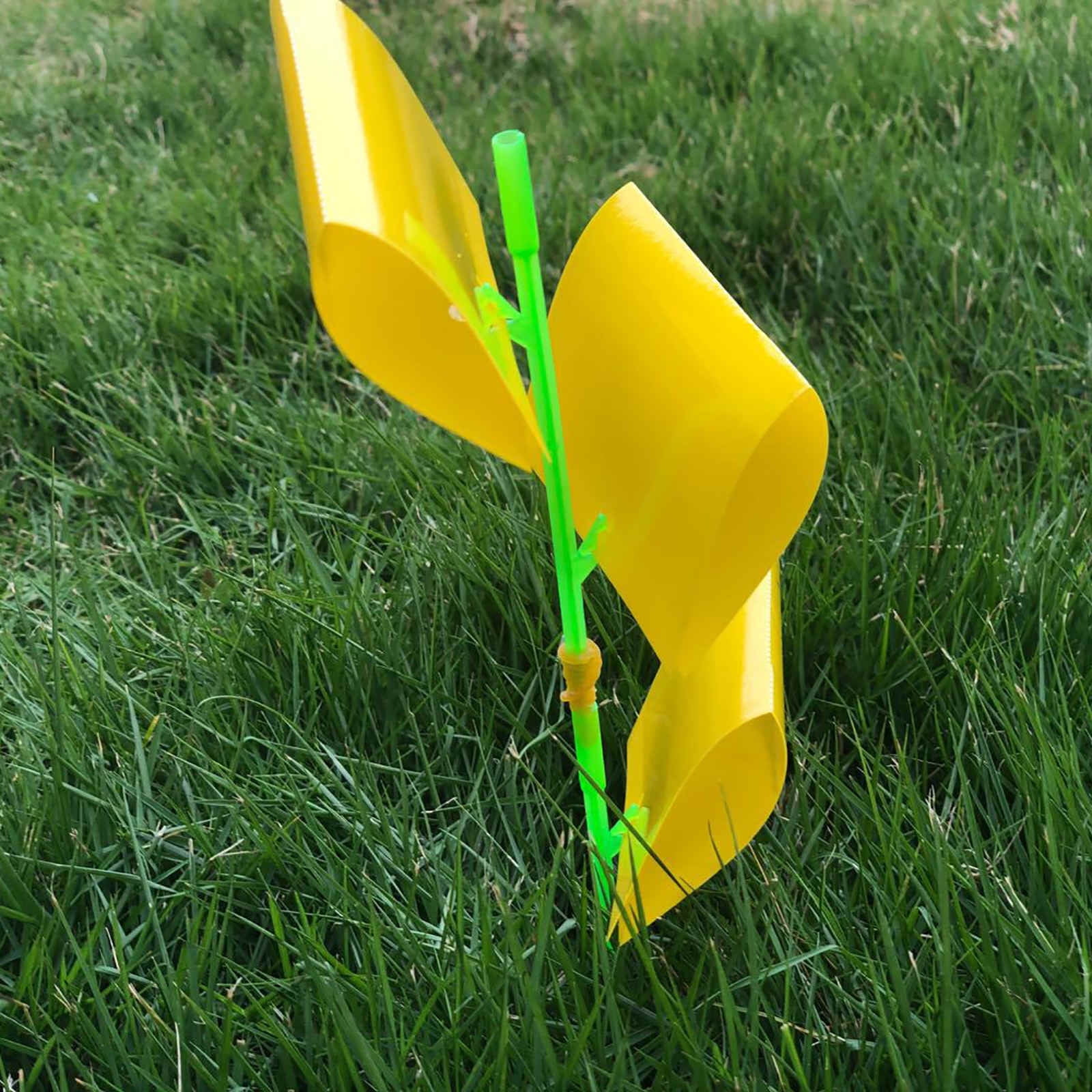 Lizheee 50PCS Garsum Sticky Houseplant Traps Gnat Indoor Fruit Fly ...