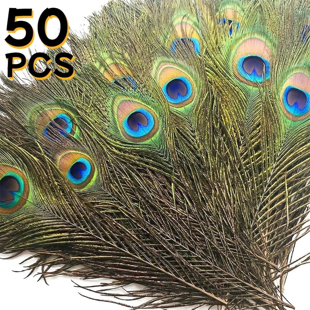 MWOOT 50Pcs Colored Real Long Peacock Feathers, DIY Craft Art Feathers ...