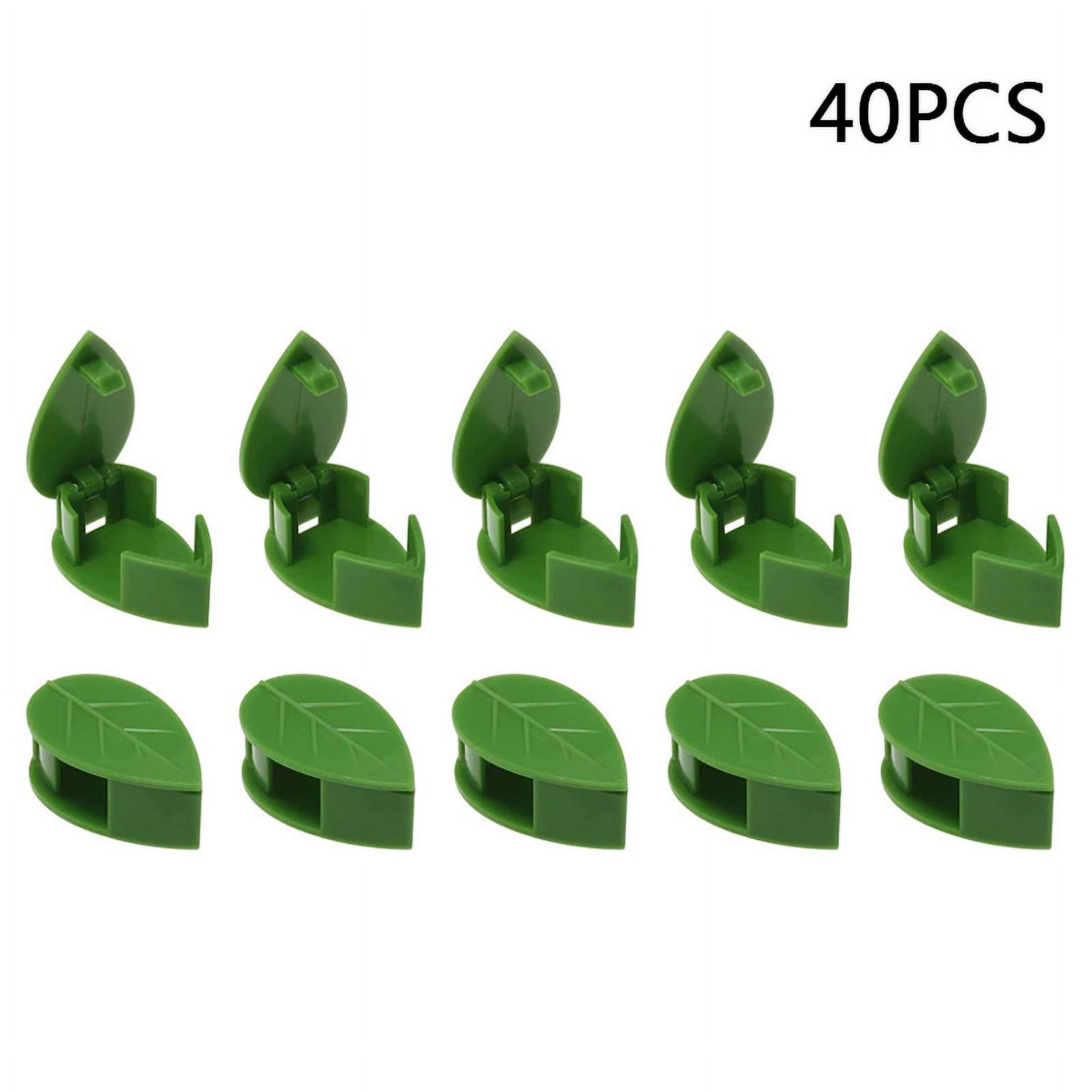 50PCS Plant Bracket Invisible Wall Rattan Clamp Clip Invisible Wall ...