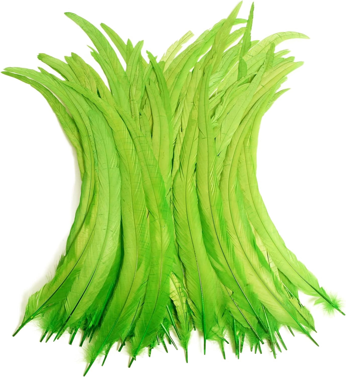 50PCS Rooster Coque Tail Feathers Bulk Natural 14-16Inch 35-40cm for ...