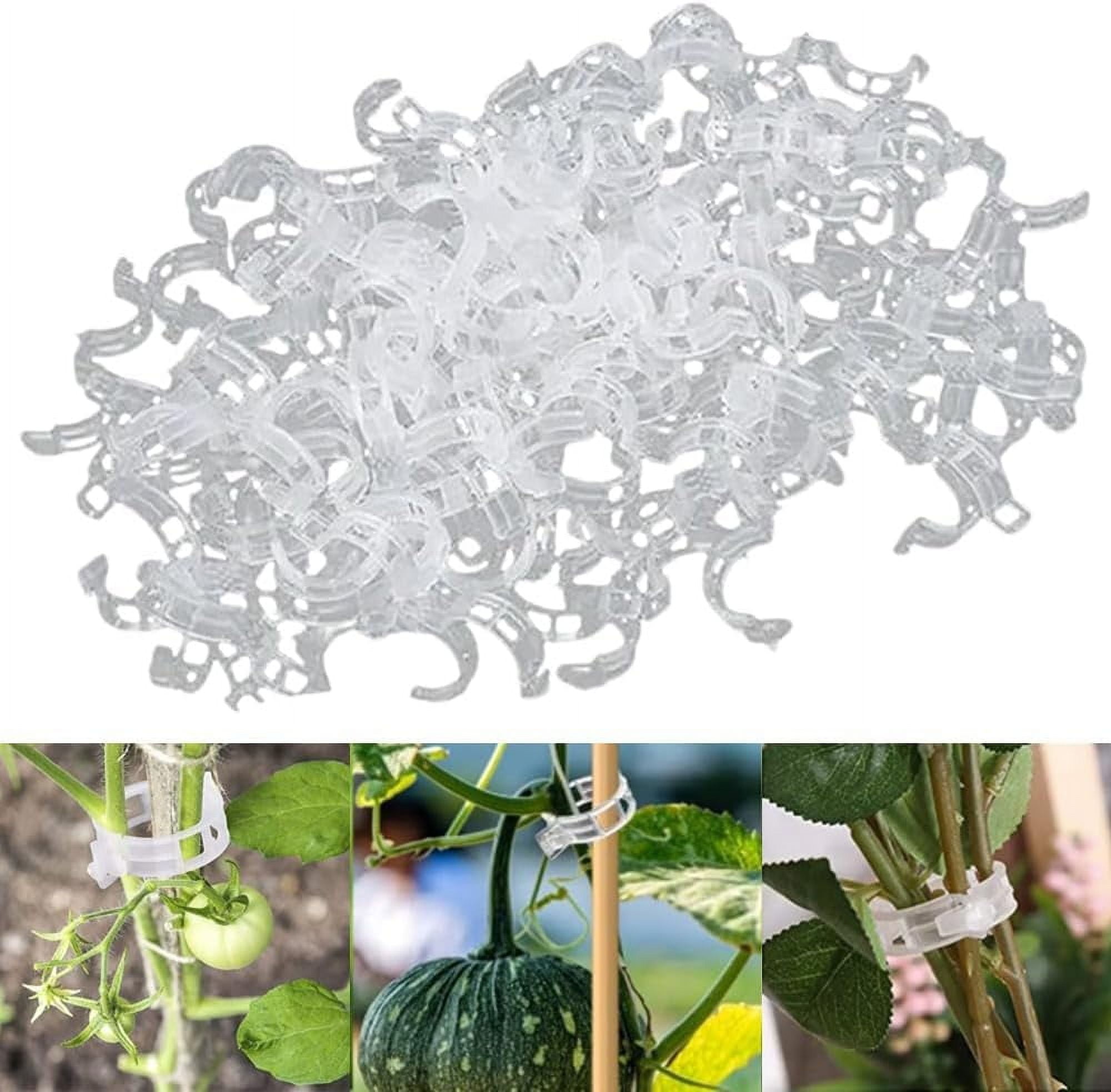 50PCS Secured Plastic Plant Clip, 2025 Upgraded Plant Support Clips for ...