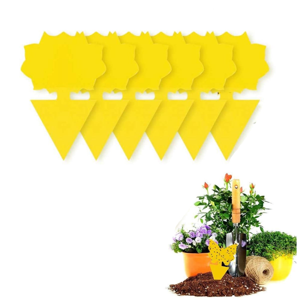 50PCS Sticky Traps for Fungus Gnat and Whitefly, Insect Trap for Plants ...