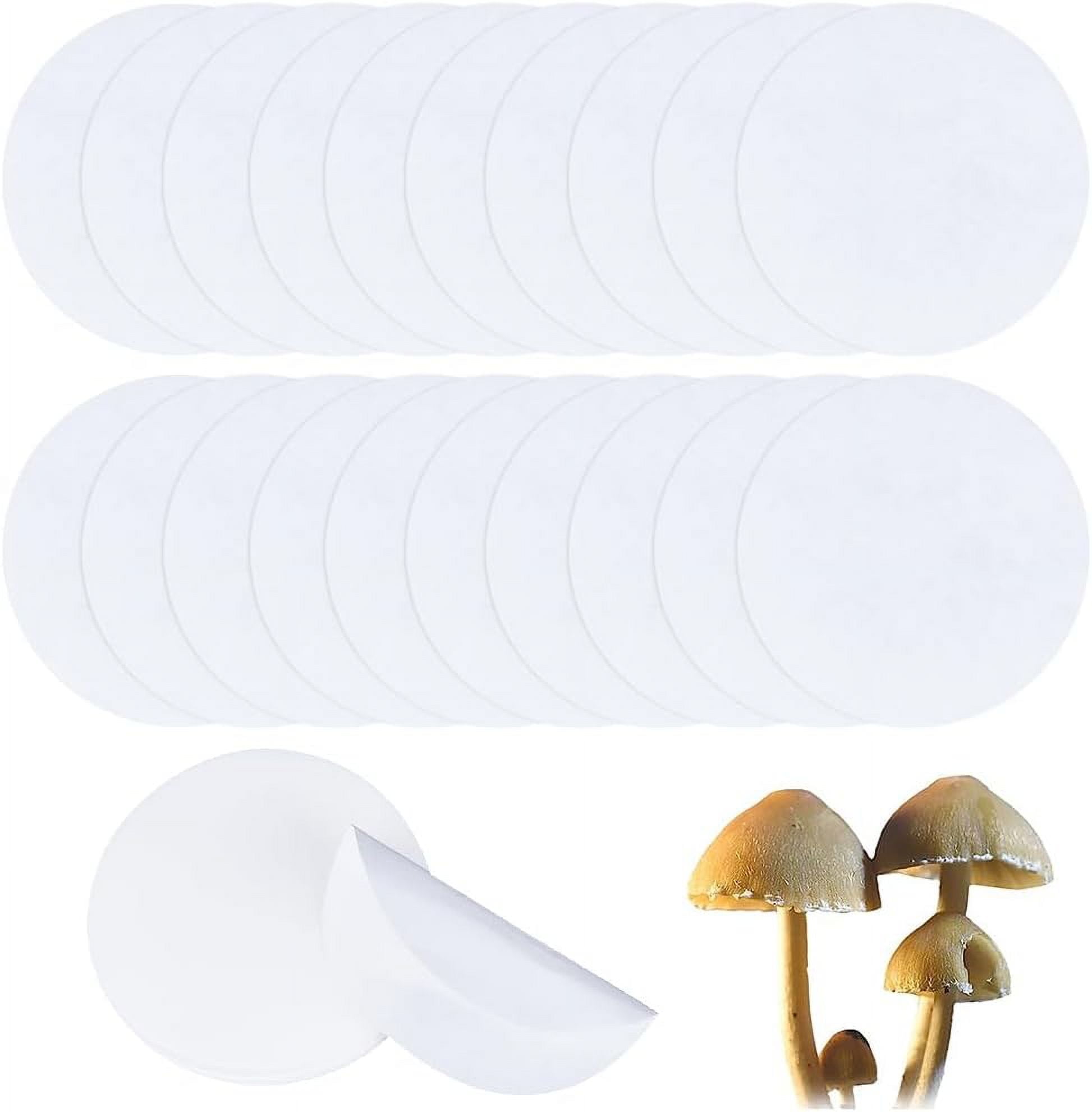 50PCS Synthetic Filter Discs 125mm Diameter Laboratory Quantitative ...