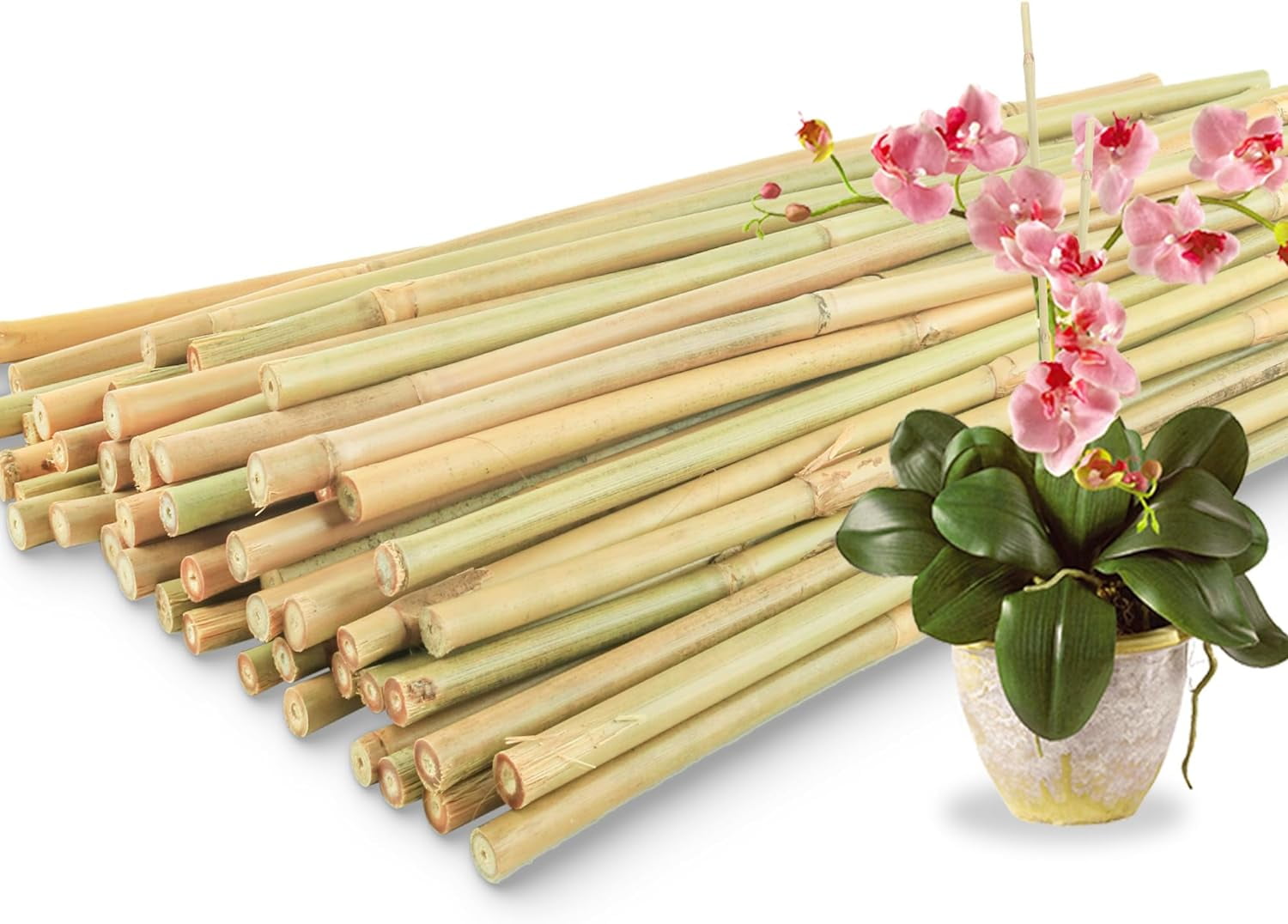 50Pcs / 18 inch Bamboo Plant Stakes for Indoor Outdoor Plants, Garden ...