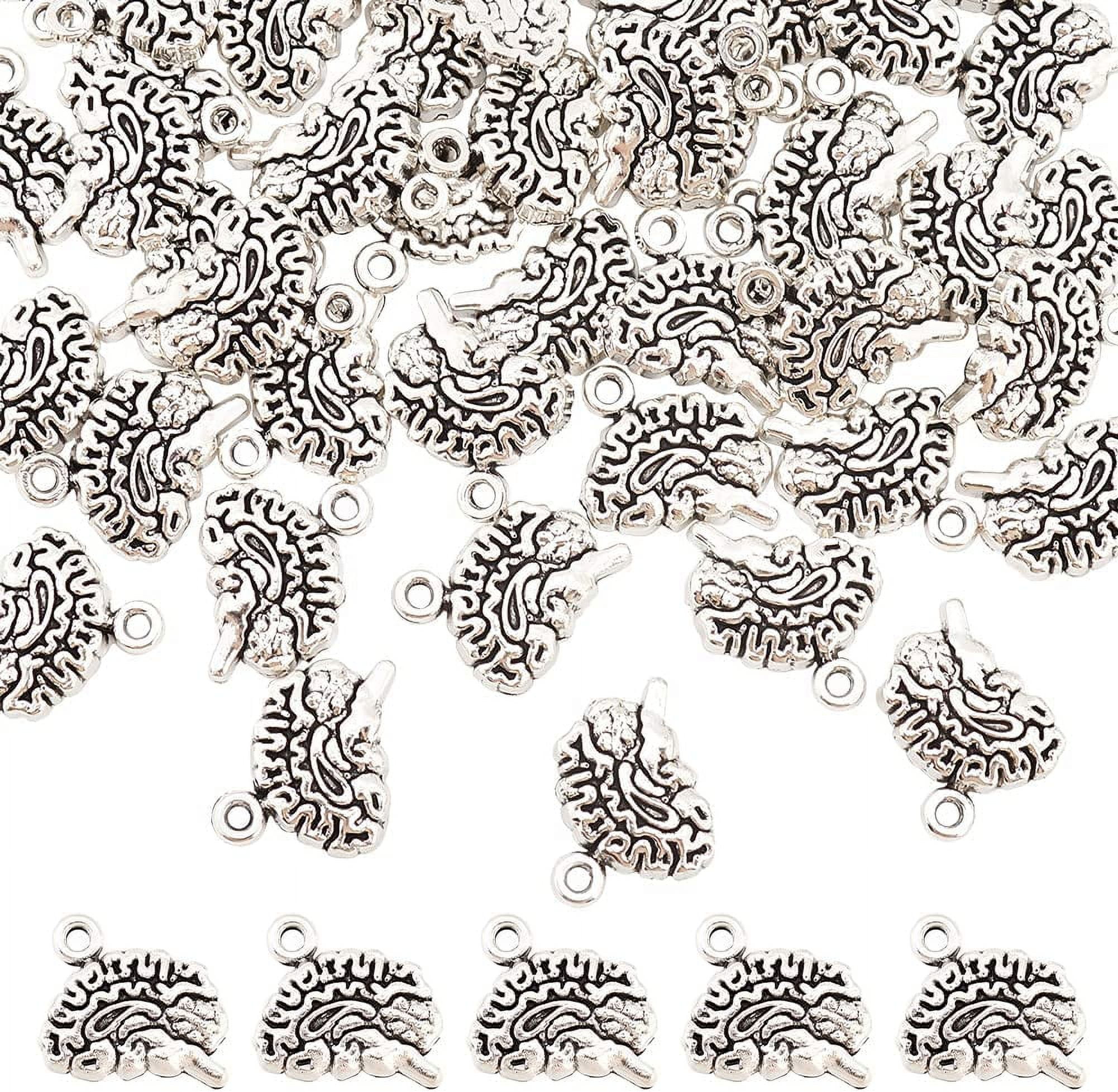 50Pcs Brain Charms Tibetan Style Alloy Charms 3D Textured Anatomy Human ...