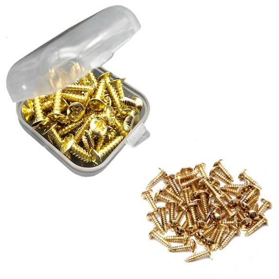 50Pcs Guitar Pickguard Screws With Storage Box Guitar Bass Pickguard ...