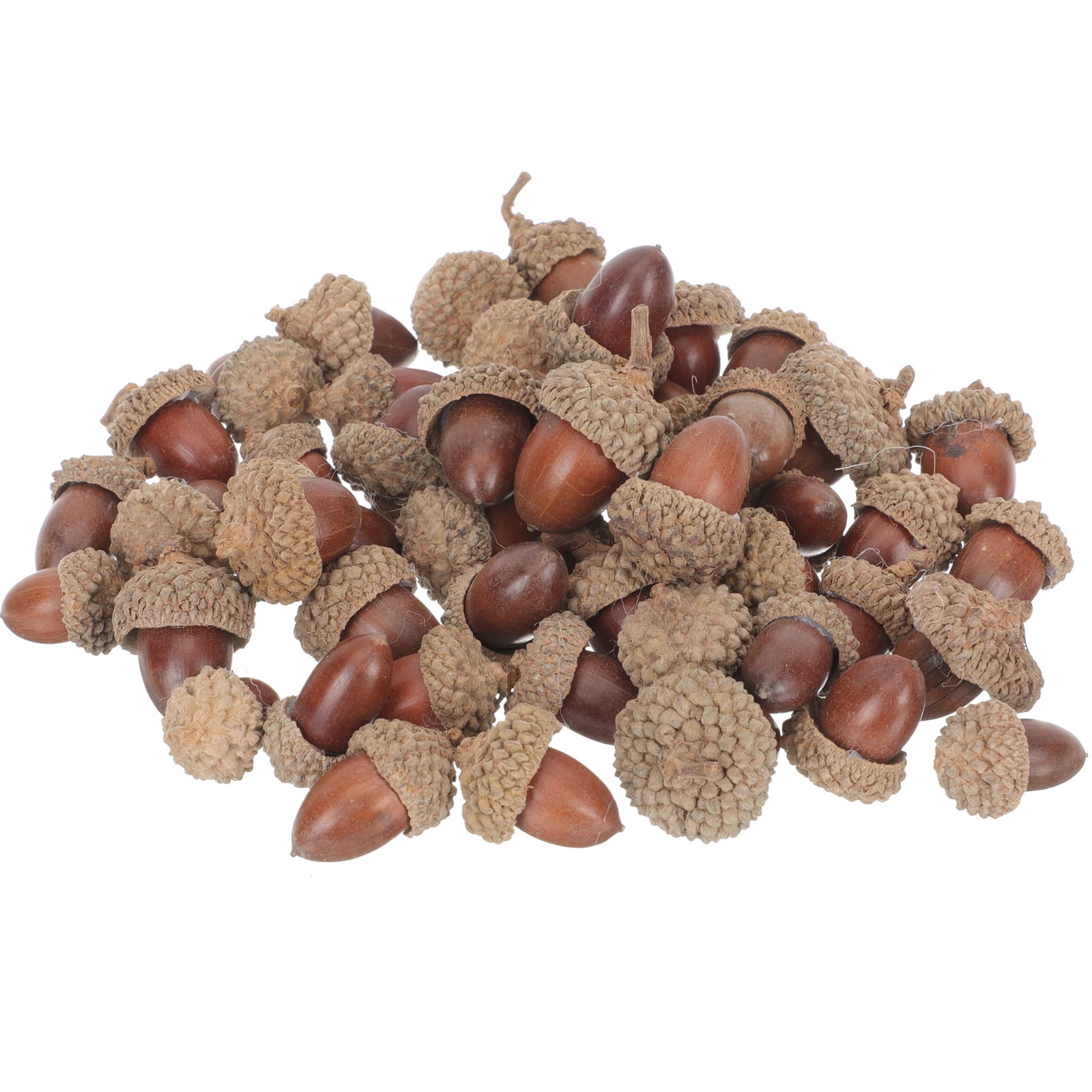 50Pcs Lifelike Artificial Acorn Fake Acorn Craft Acorns Faux Acorn ...
