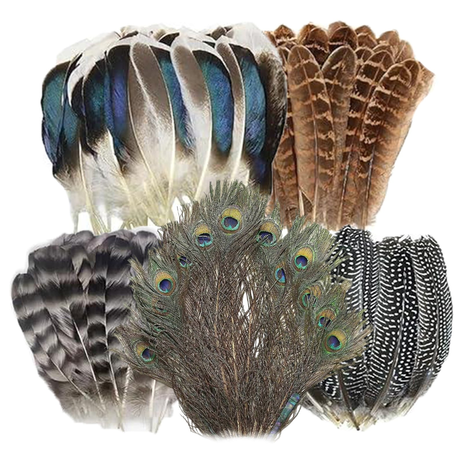 50Pcs Mixed Natural Feathers, DIY Craft Decor Accessories - Walmart.com
