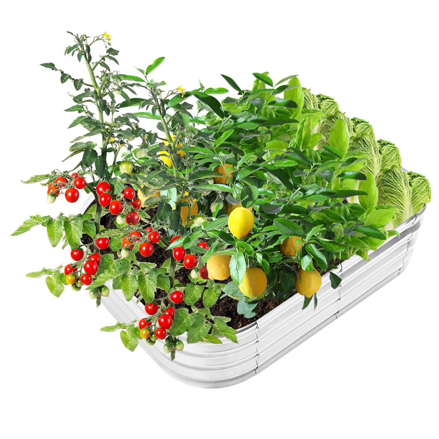 50X35X12" Garden Bed Galvanized Raised Planter Box 10-in-1 Modular ...