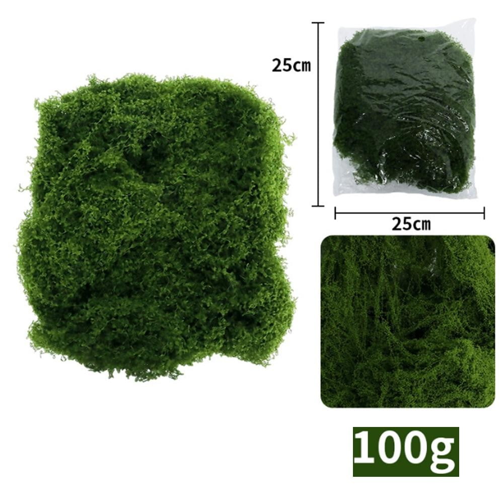 50g/100g/200g Realistic Moss for DIY Landscaping: Green Decor ...