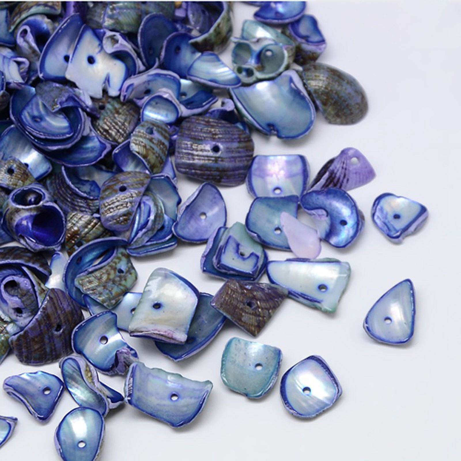50g Dyed Natural Spiral Shell Chips Beads Shell Shards Royal Blue 10 ...