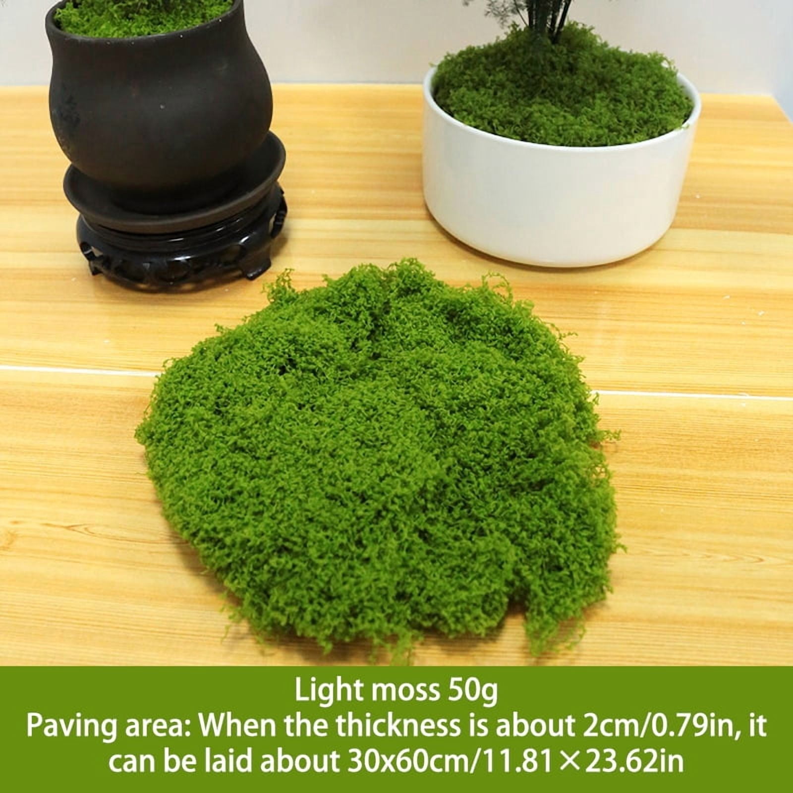 50g Fake Moss DIY Crafts Grass Artificial Moss Faux Preserved Green ...