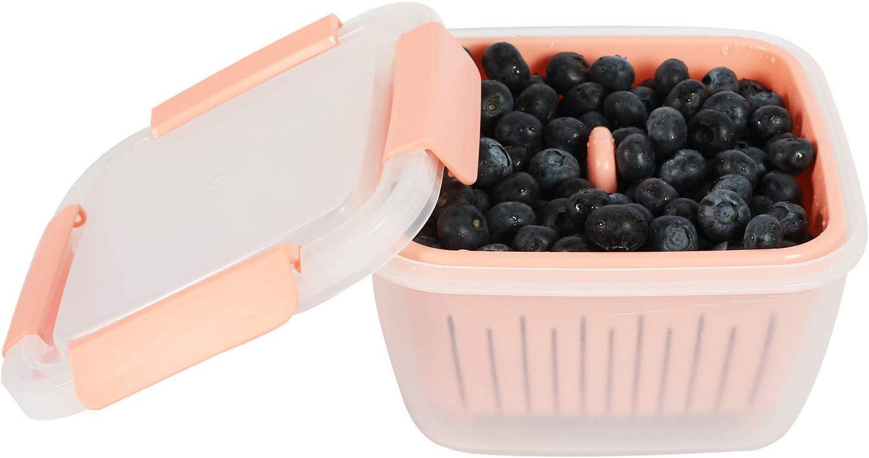 50oz Berry Keeper Container - Fruit Produce Saver with Removable Drain ...