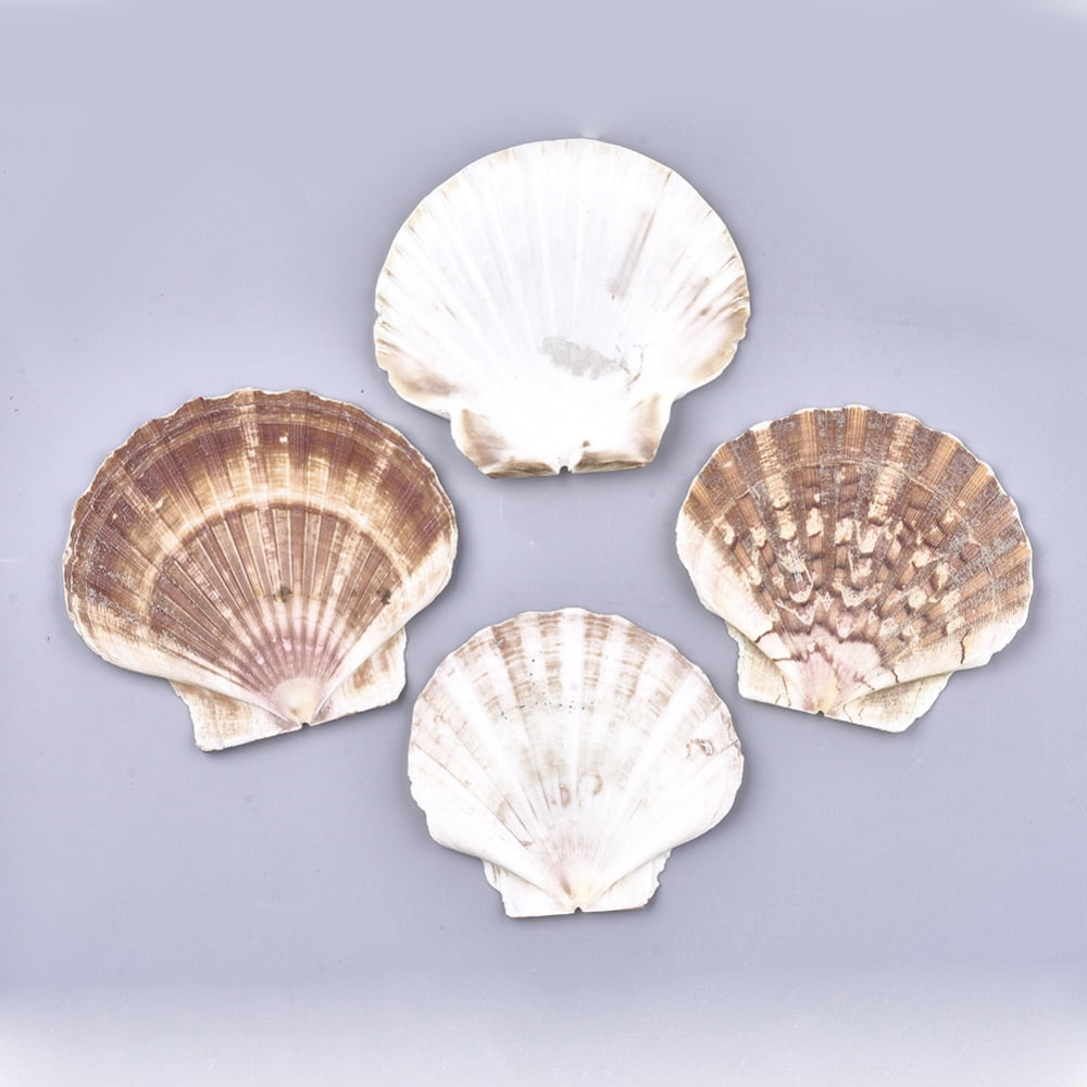 50pc Natural Scallop Shell Beads Sea Shell Beads Undrilled/No Hole ...