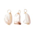 50pc Natural Seashell Charms with Copper Wire Loops Golden 7.5~11x6.5~8 ...