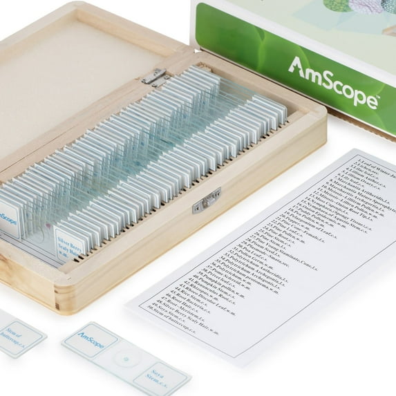 50pc Prepared Glass Microscope Botany Slide Specimens with Wooden Case ...