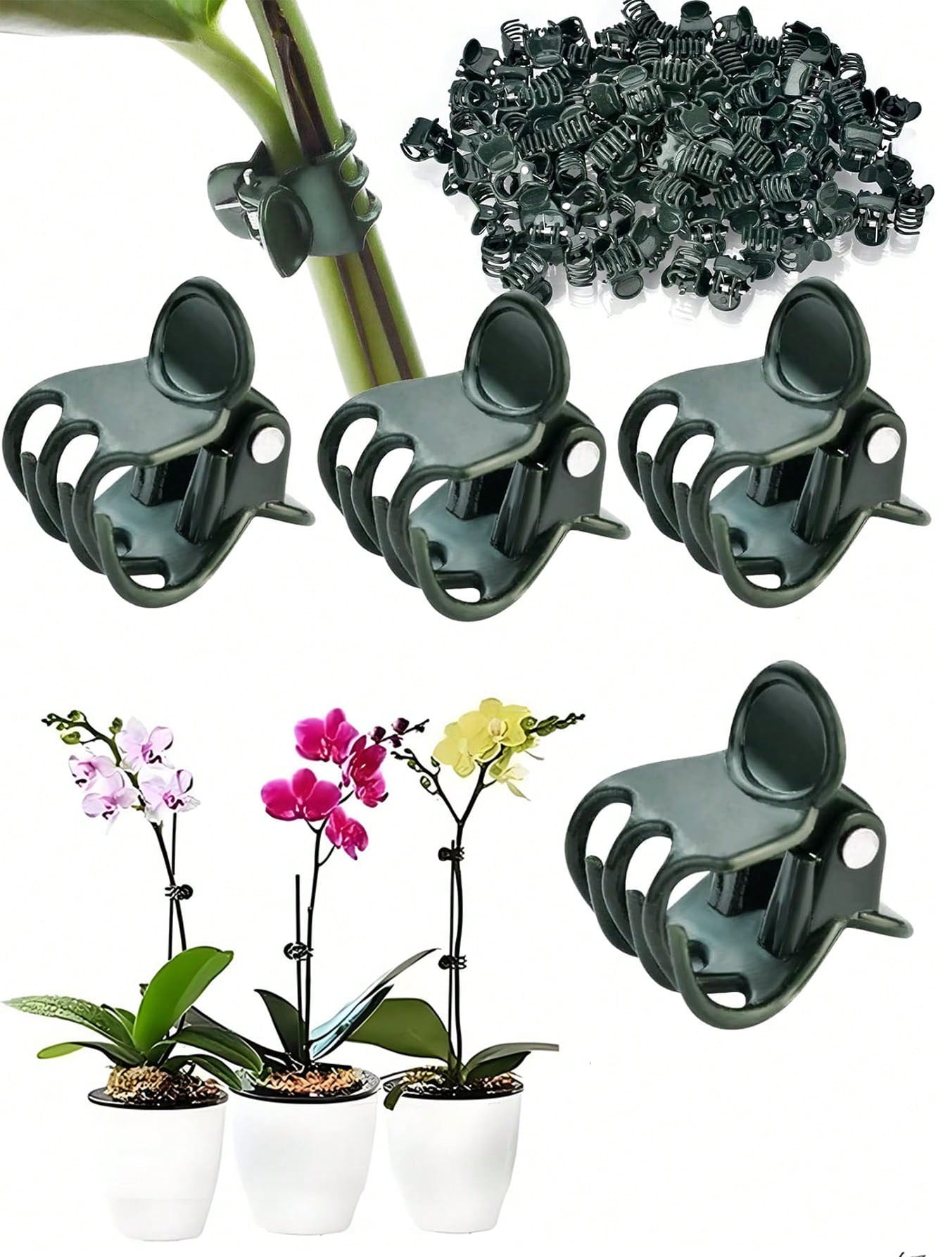 50pcs/10pcs Plant Wall Clips For Climbing Plants Wall Clips Green Tree ...