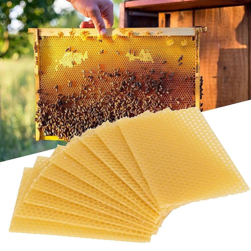 50pcs Beeswax Foundation Beehive Wax Frames Base Sheets Bee Comb Honey ...