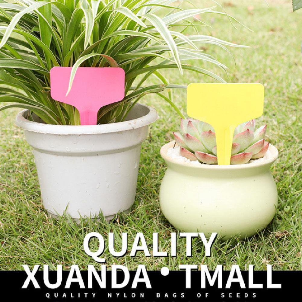 50pcs Blue Plant Labels Gardening Labels T-Shaped Orchid Flower Labels ...