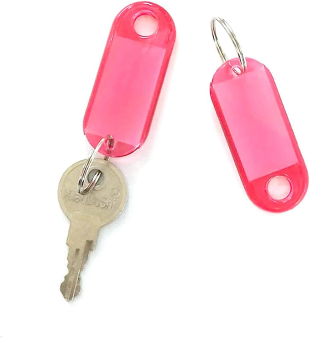 50pcs Colored Labels Pet Tags KeyKey Name Tag Key Labels with Ring Tabs ...
