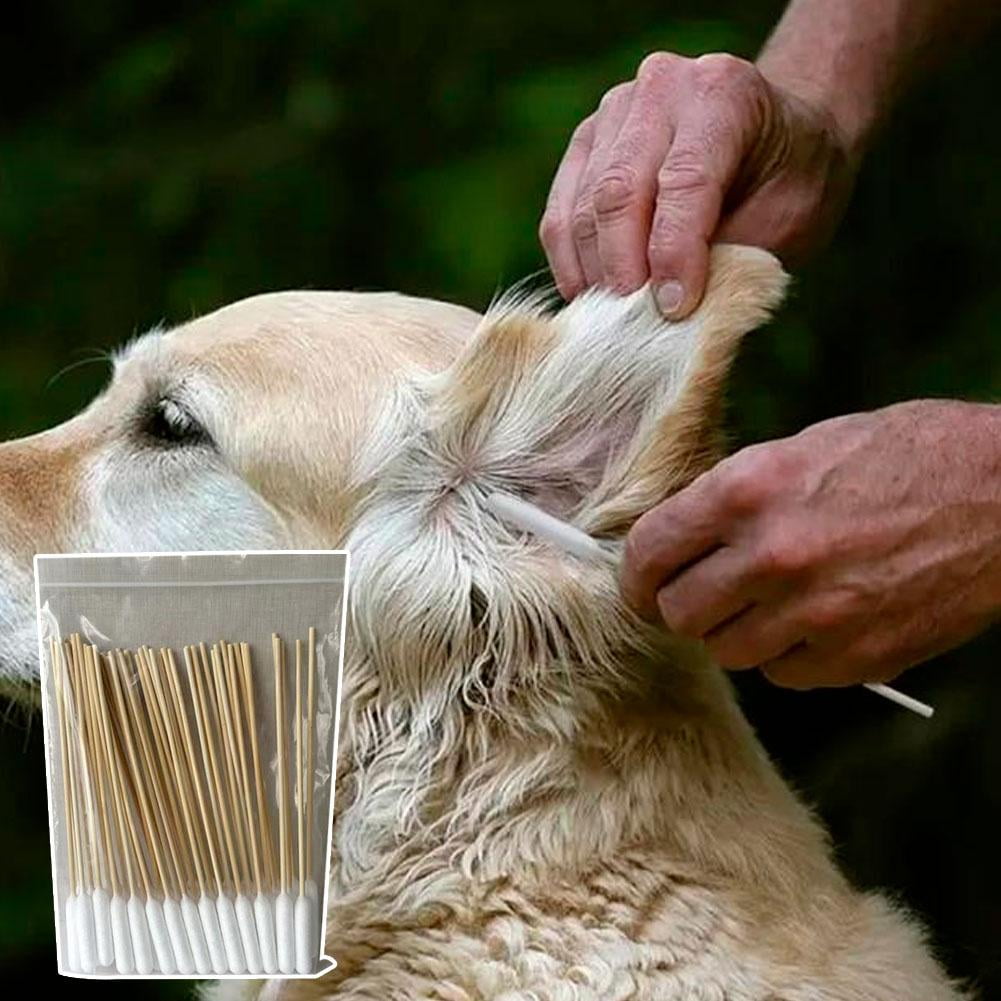 50pcs Dog Ear Cotton Buds Swabs Large Cotton Buds with Wooden Handle Lot E2 - Walmart.com